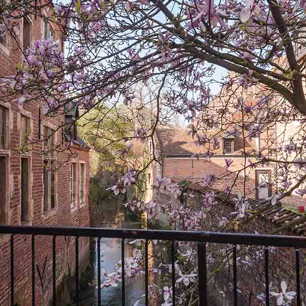 Things to do in Flanders | Travel Guide | P&O Ferries