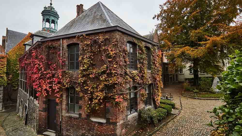 Things to do in Mons | Travel Guide | P&O Ferries