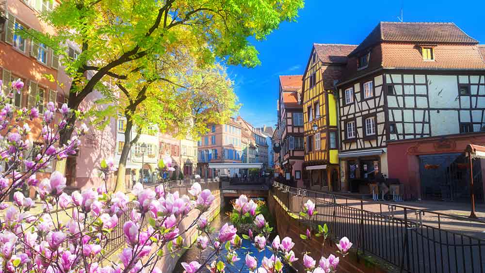 Things to do in Colmar | Travel Guide | P&O Ferries